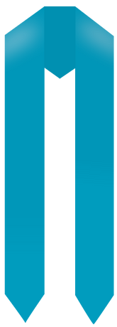 Buy Graduation Stole with Custom Graduation Design Options | Create A Stole